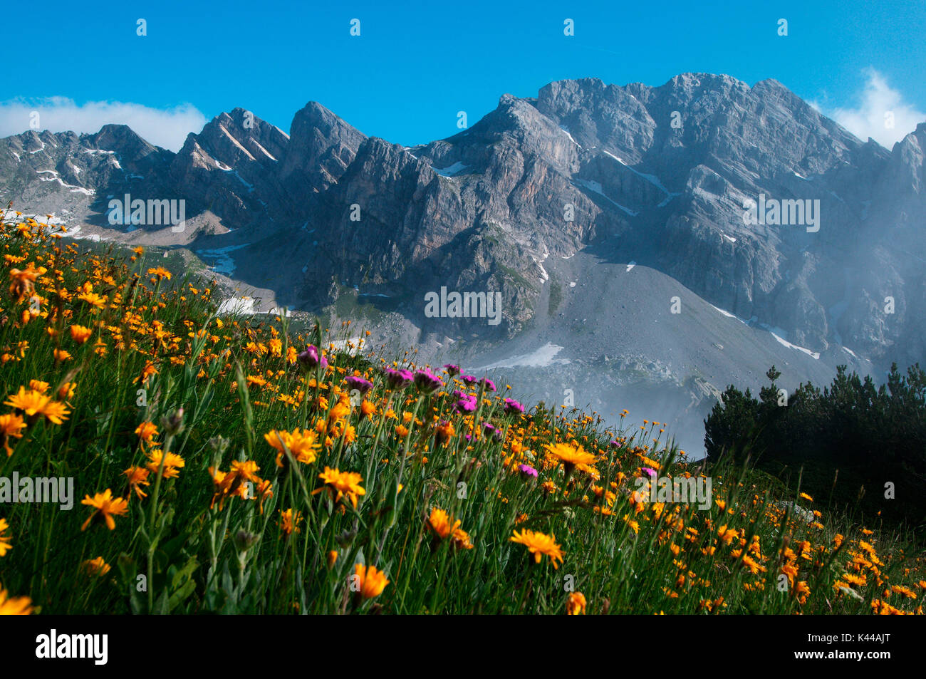 Ligurian alps hi-res stock photography and images - Alamy