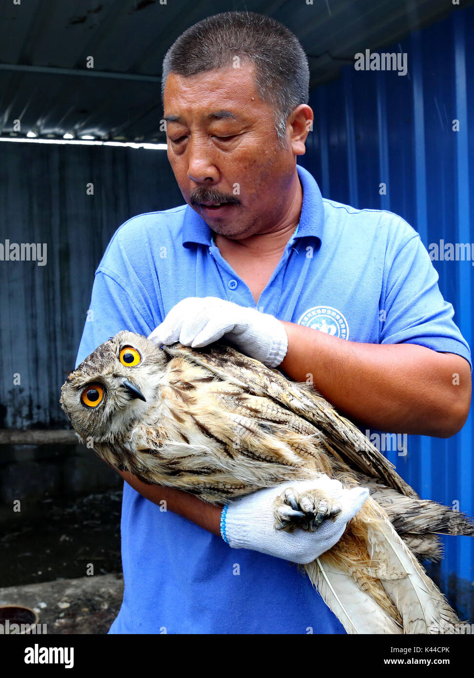 Ten plus hi-res stock photography and images - Alamy