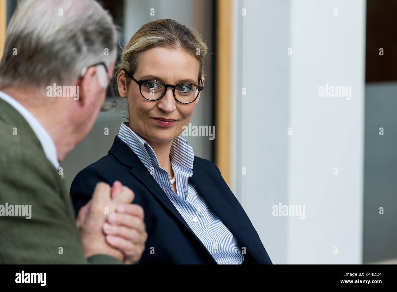 The top candidate of AfD Alexander Gauland and the top candidate of AfD ...