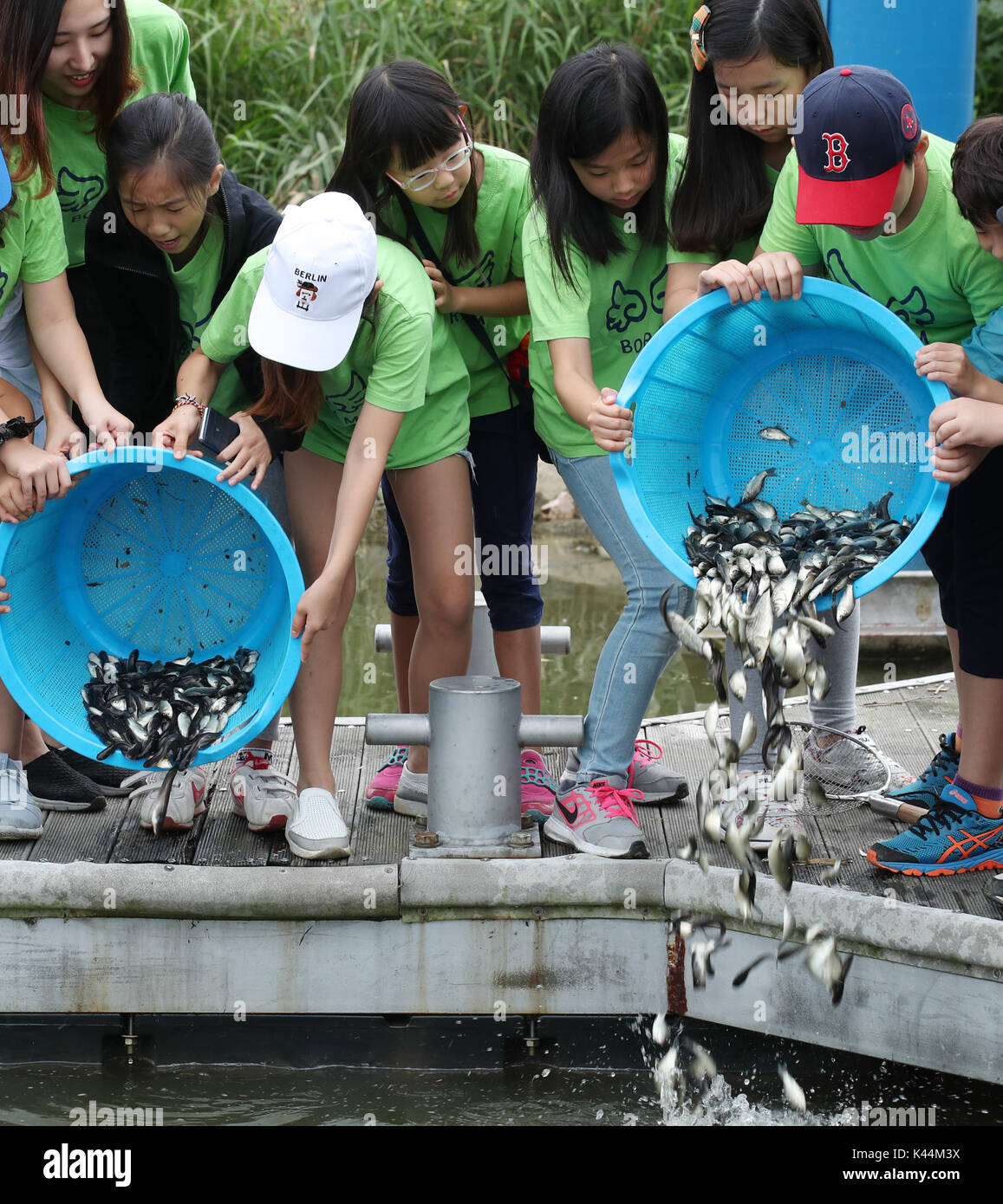 Children free baby fish Elementary school children release baby fish at ...