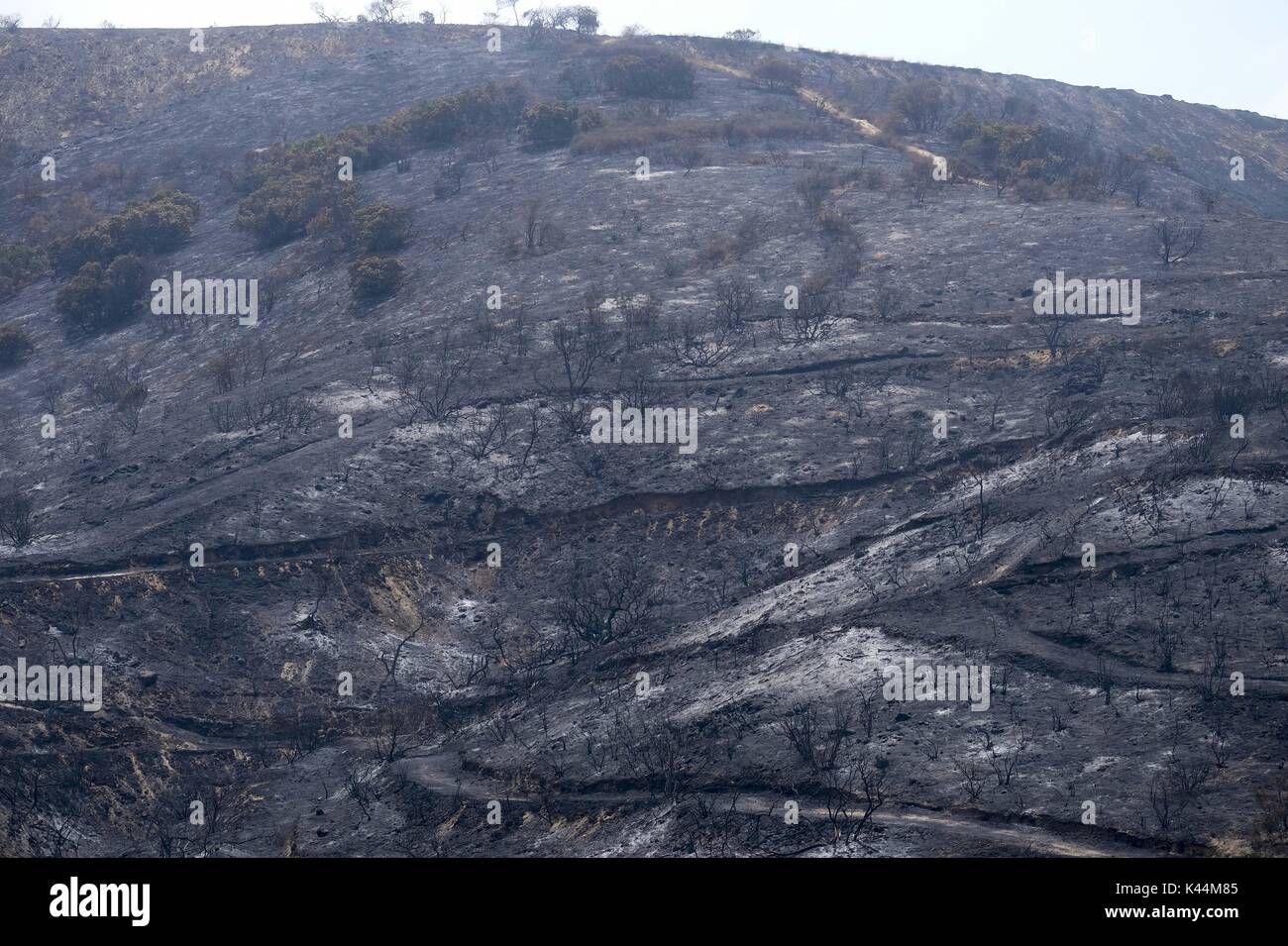 Sunland tujunga hi-res stock photography and images - Alamy Sunland tujunga hi-res stock photography and images - Alamy
