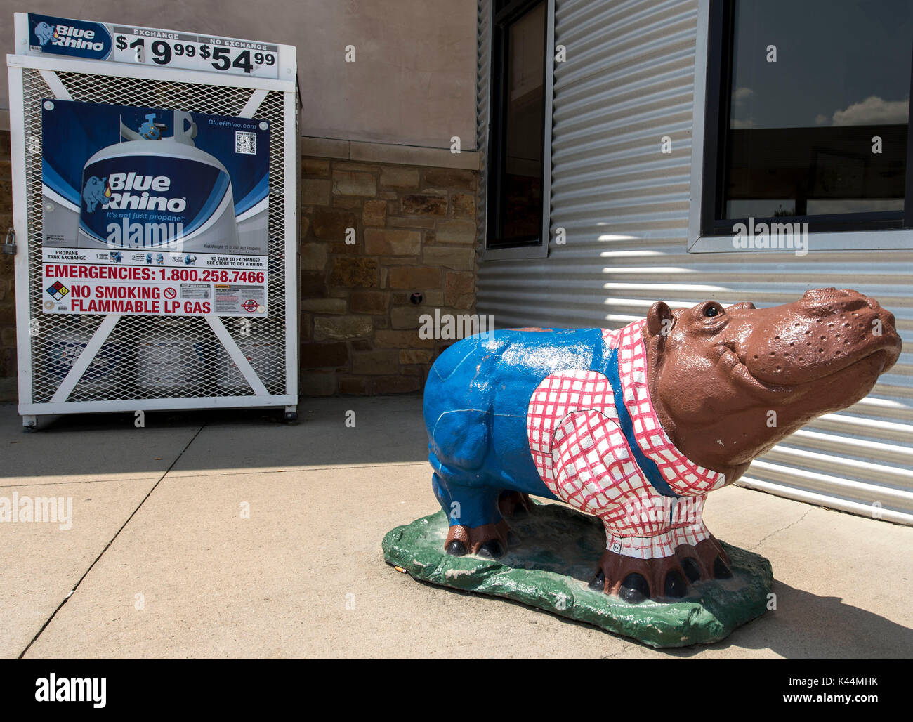 Hippo in town hi-res stock photography and images - Alamy