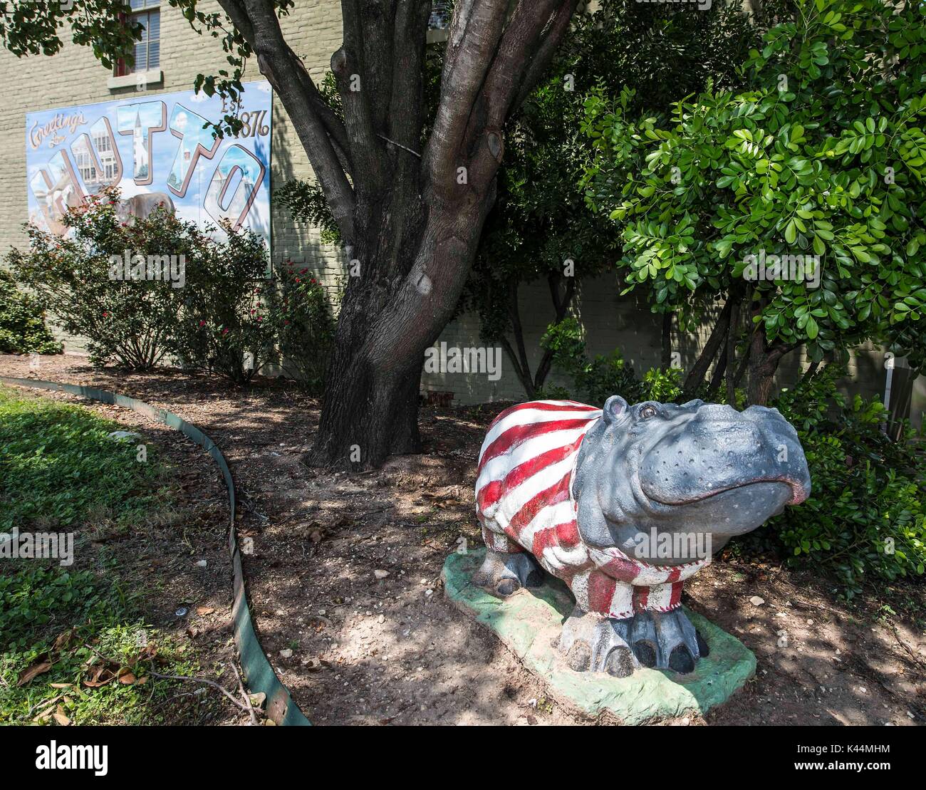 Hutto texas hi-res stock photography and images - Alamy