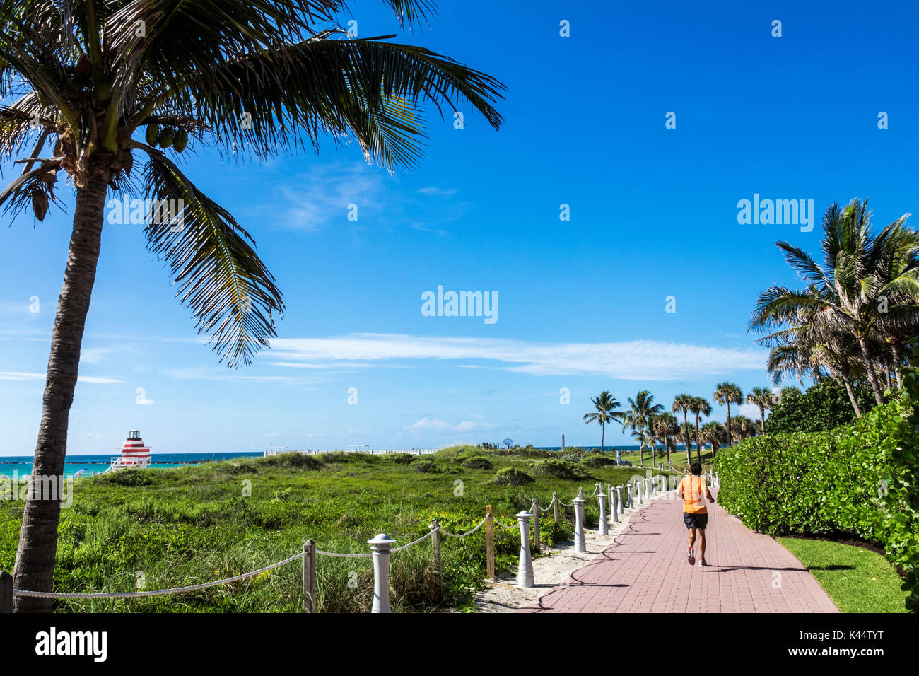 Miami Beach Florida,BeachWalk,walk,path,adult adults man men male ...