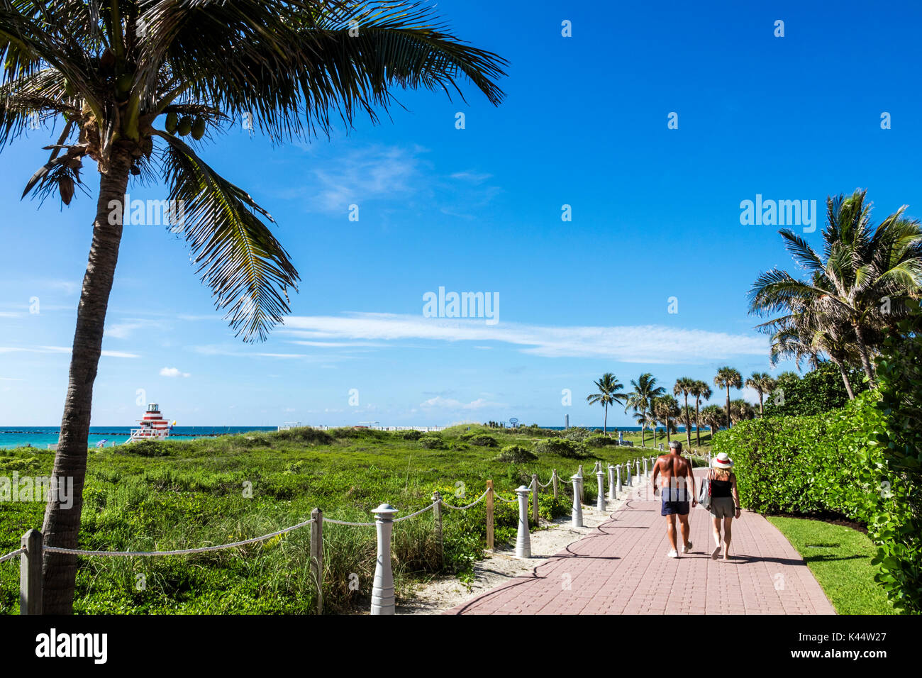 Miami Beach Florida,BeachWalk,walk,path,couple,palm trees,visitors ...