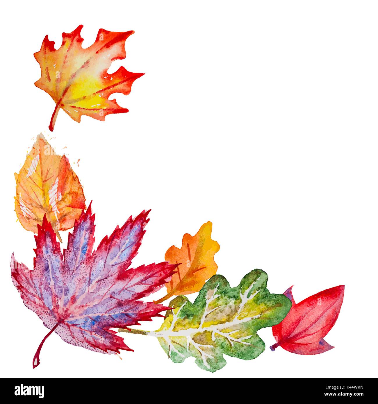 Autumn watercolor set leaves Stock Vector Images - Alamy