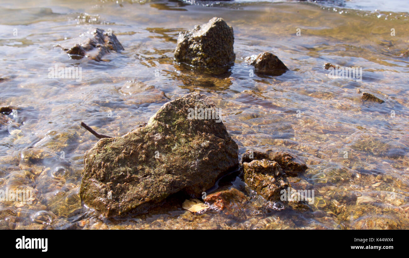 Lakeside on a hot summer day, France Stock Photo - Alamy