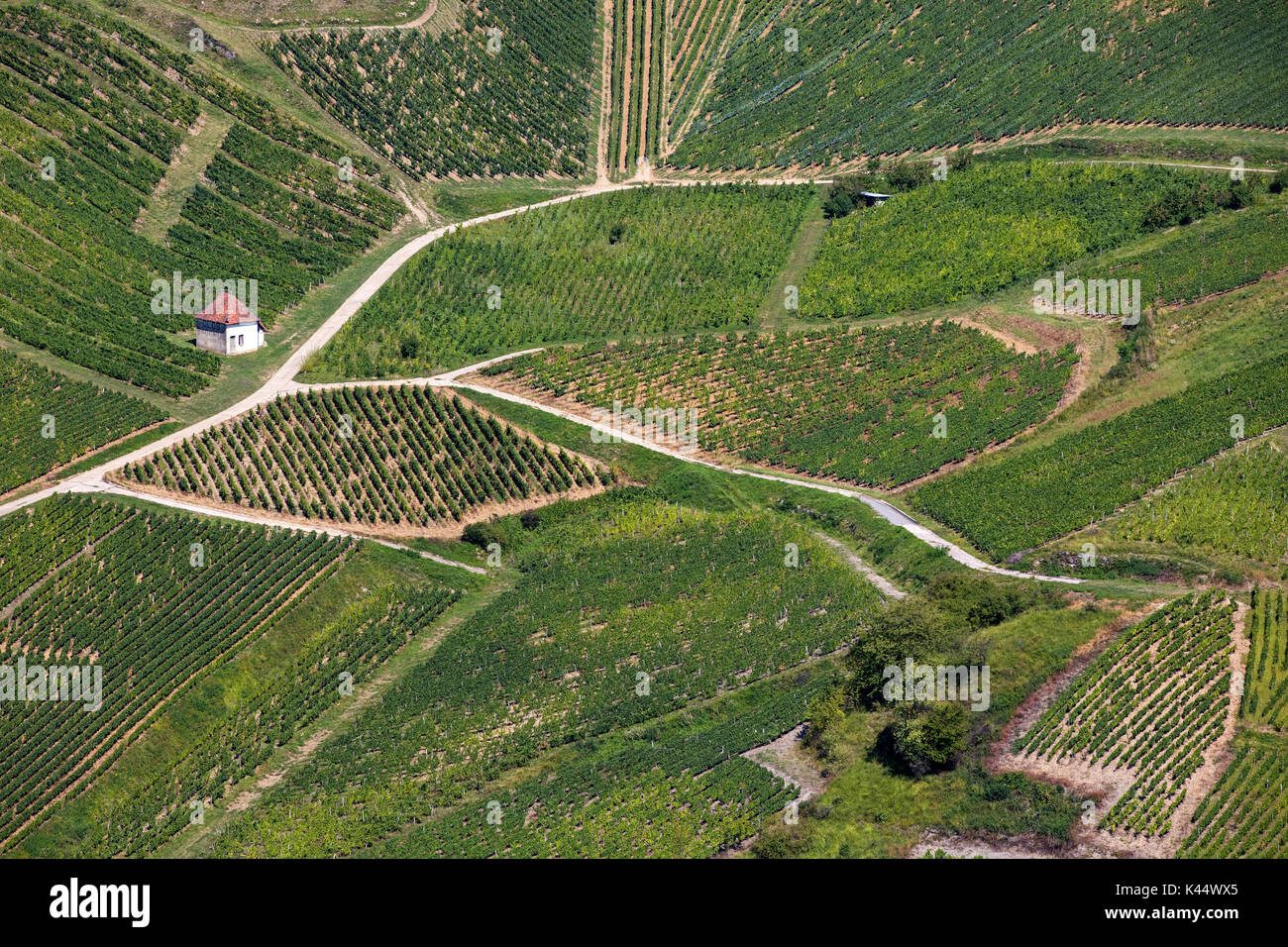 Bird's eye view over vineyards famous for their white wine, Château ...