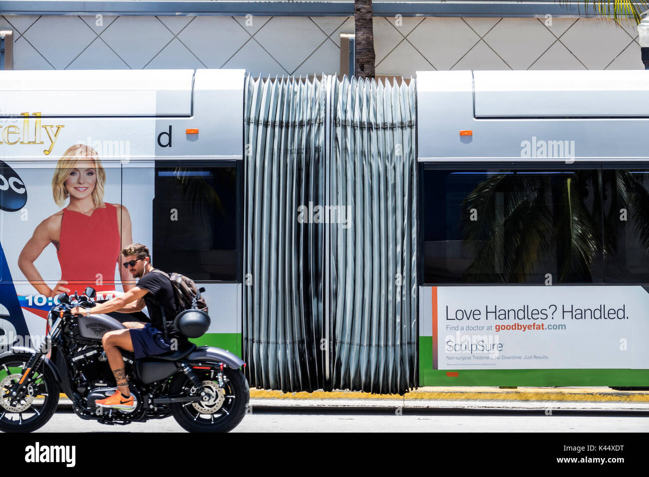 Miami Beach Florida,Miami-Dade Metrobus,public transportation,bus ...