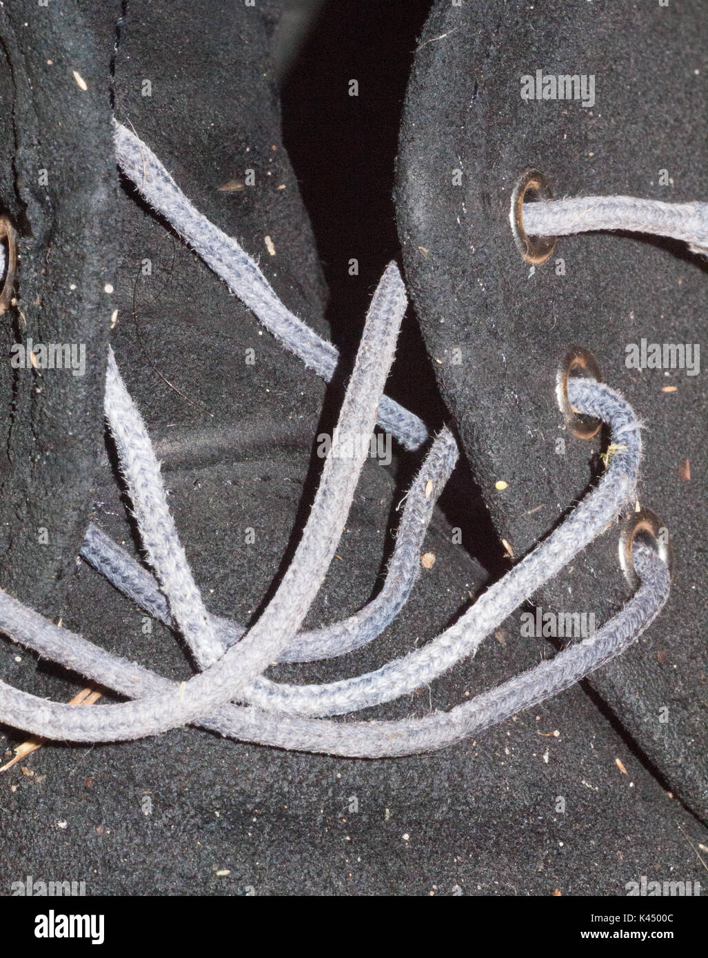 shoe string lace untied rope blue suede leather shoe fabric; Essex ...