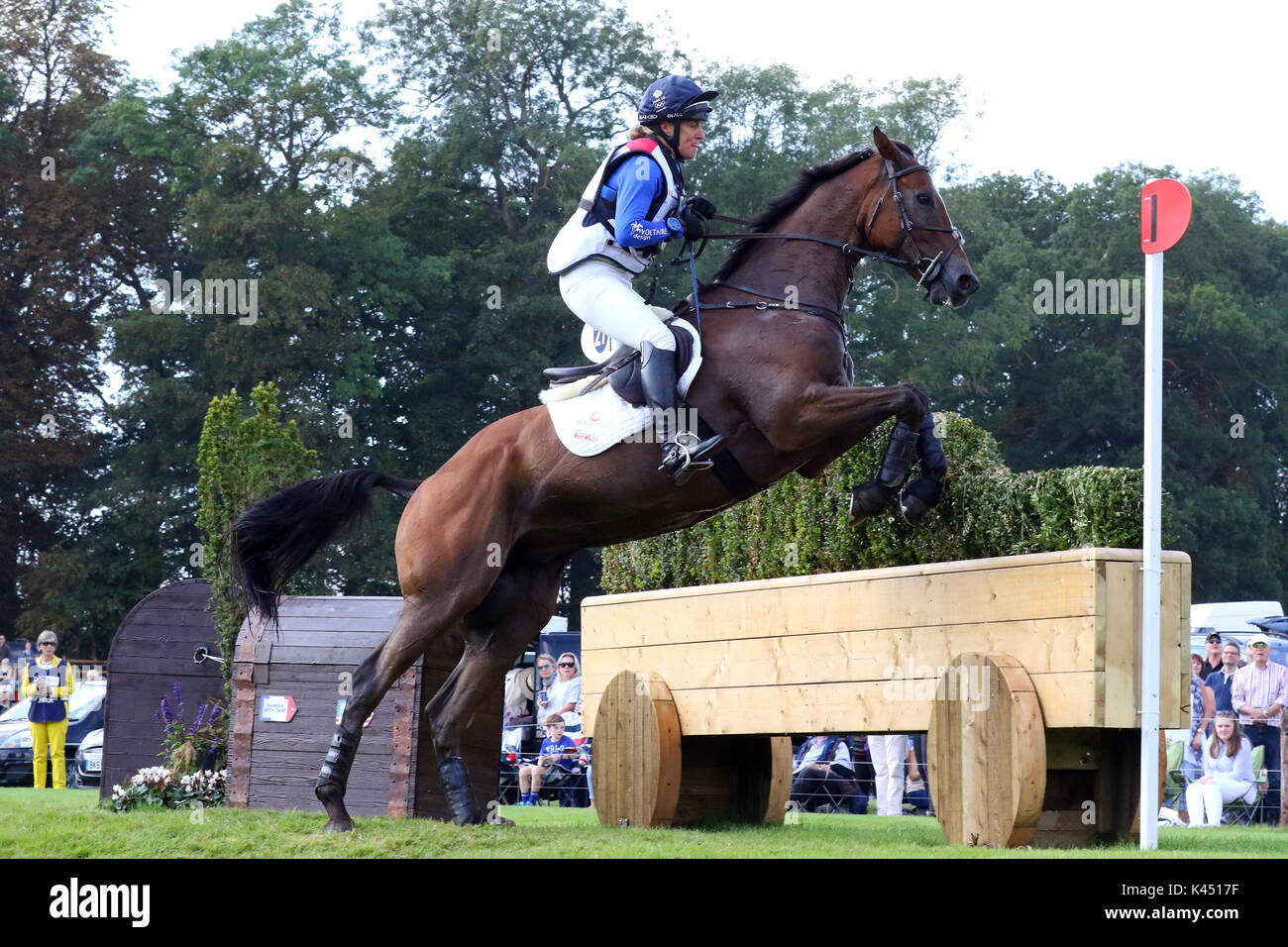 Kristina Cook Star Witness Cross Country Burghley Horse Trials 020917 ...