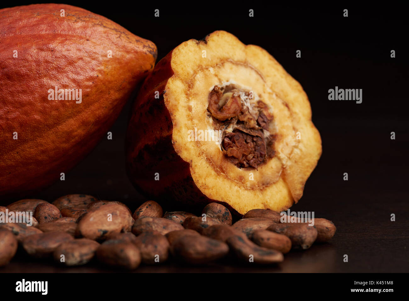 Open cacao pod fruit close-up. Agriculture cocoa farm theme Stock Photo ...