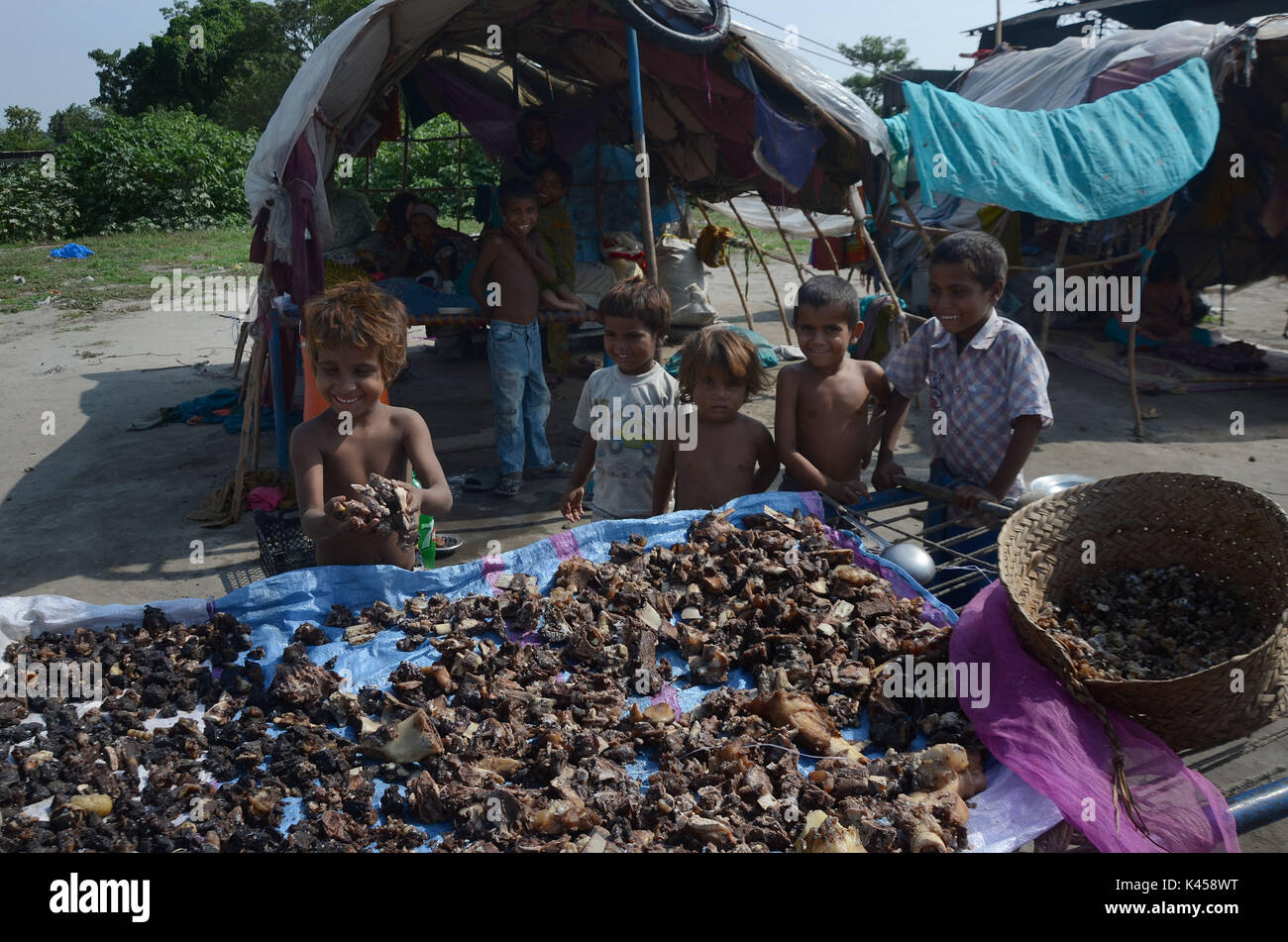 Lahore, Pakistan. 05th Sep, 2017. Gypsy family hang strips of salted ...