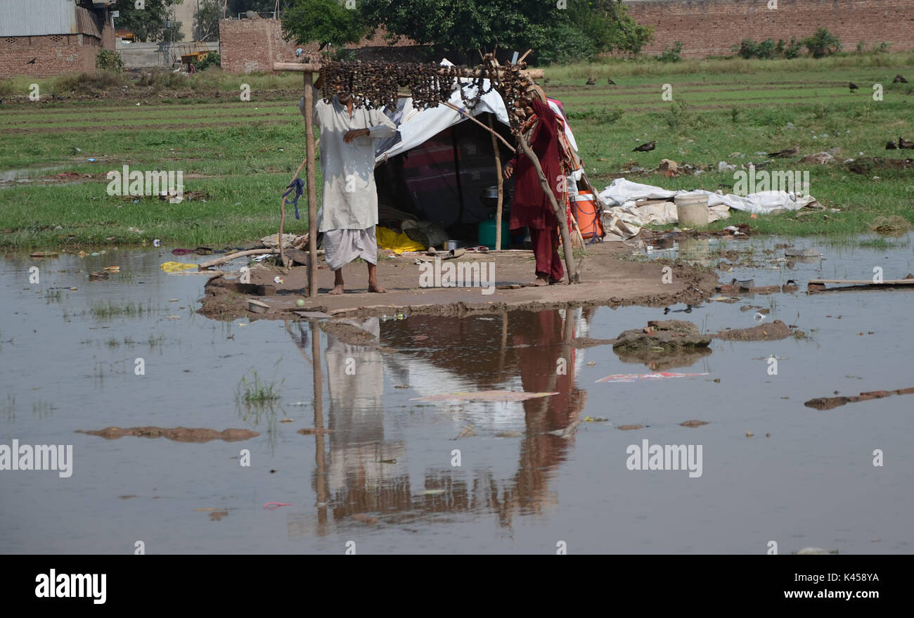 Lahore, Pakistan. 05th Sep, 2017. Gypsy family hang strips of salted ...
