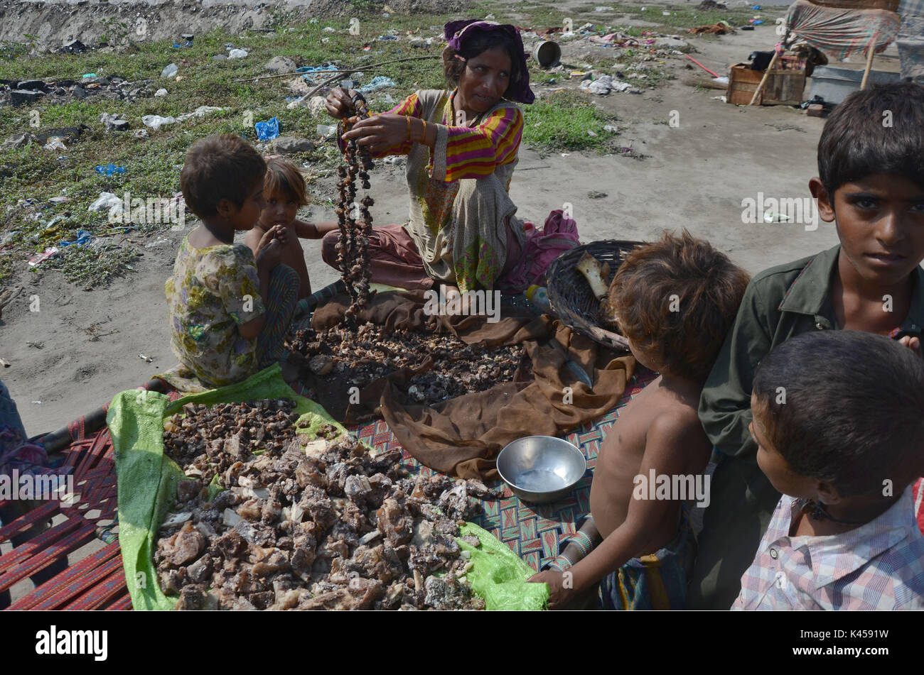 Lahore, Pakistan. 05th Sep, 2017. Gypsy family hang strips of salted ...