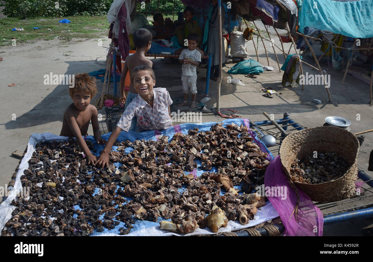Lahore, Pakistan. 05th Sep, 2017. Gypsy family hang strips of salted ...