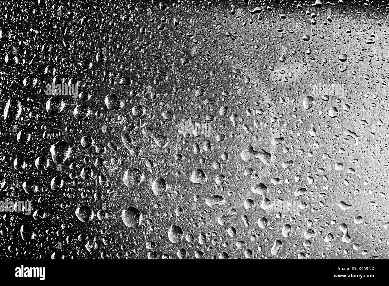 Blue light window Black and White Stock Photos & Images - Alamy