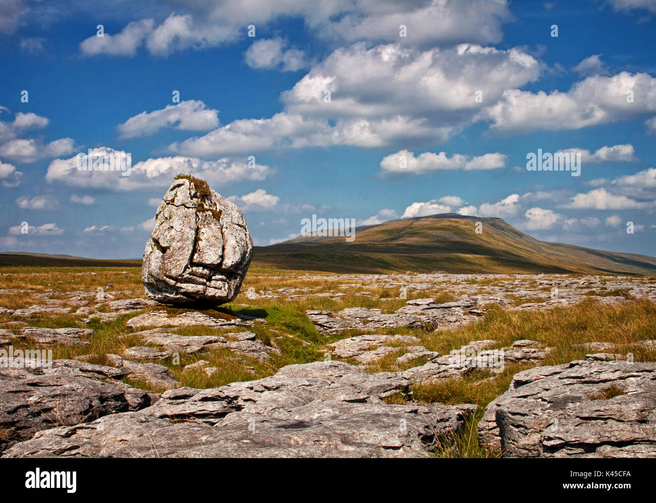 Glacial erratic standing on limestone pavement, facing Whernside Stock ...