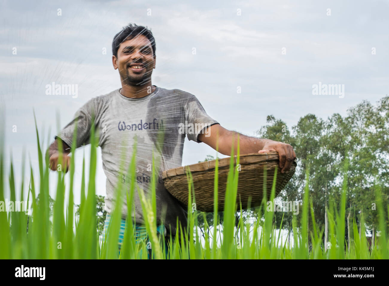 Fertilizer use farmer Stock Photo - Alamy