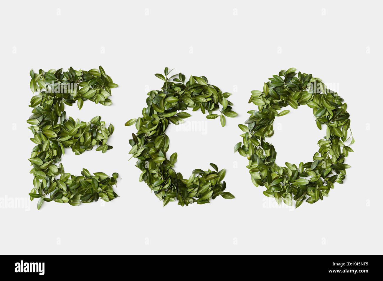 Alphabet word ECO made from green leaves isolated on white background ...