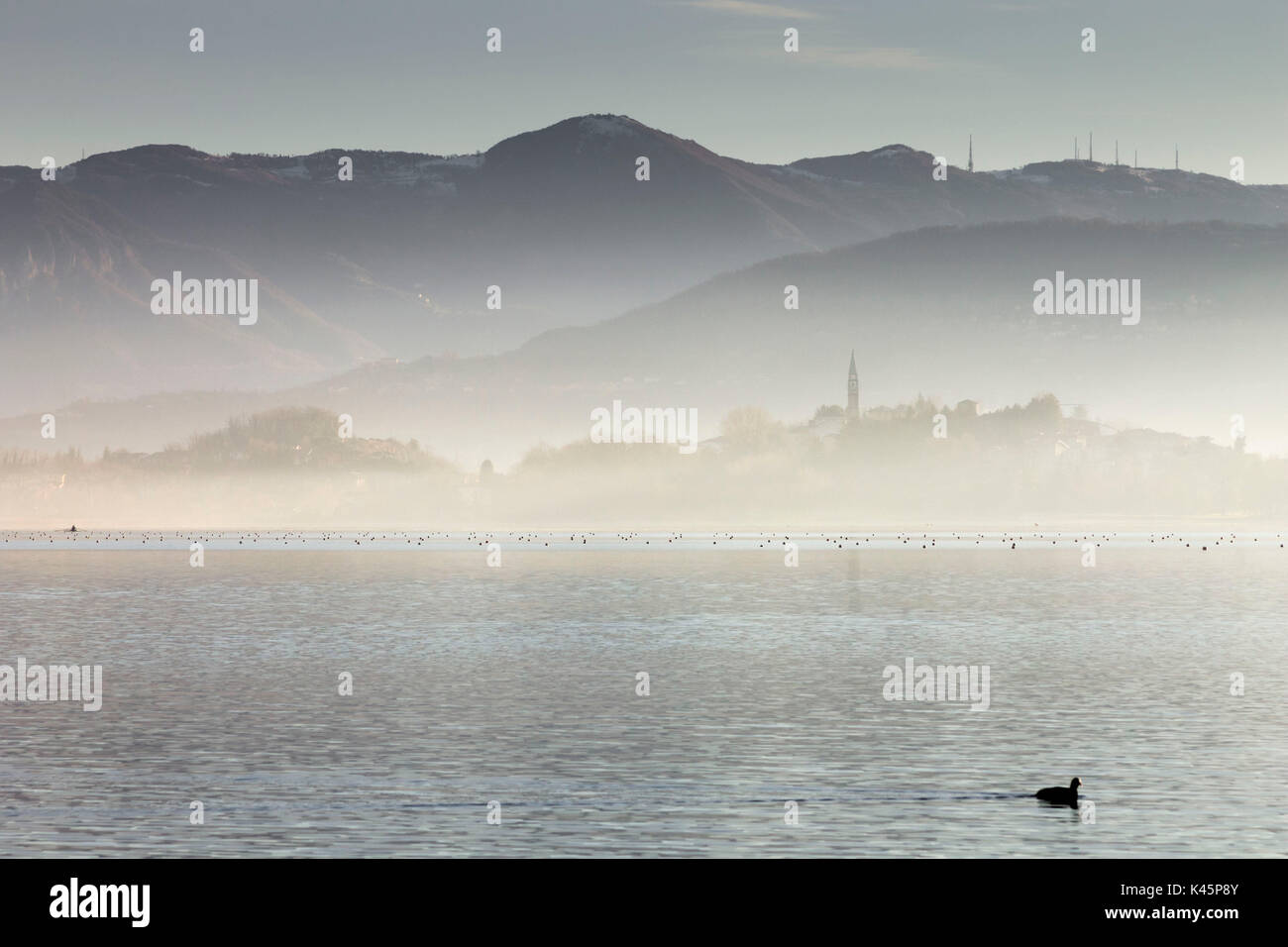 Mistic fog on lake pusiano from eupilio hi-res stock photography and ...