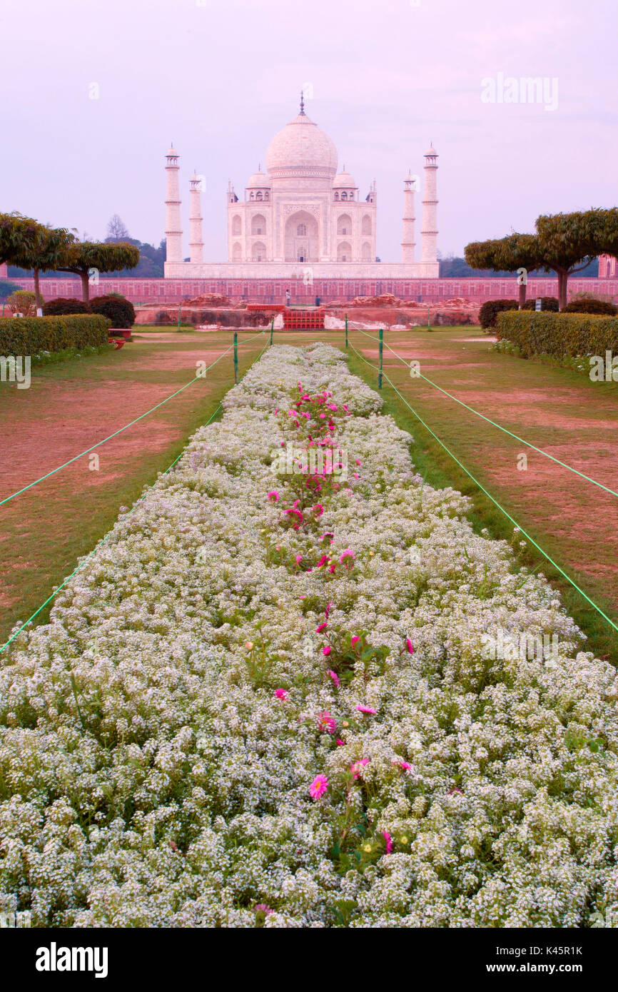 Taj mahal with flowers hi-res stock photography and images - Alamy