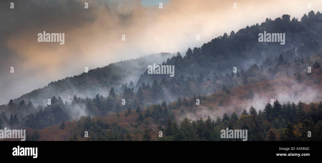 Serra San Bruno, Serra, Calabria, Italy Stock Photo - Alamy