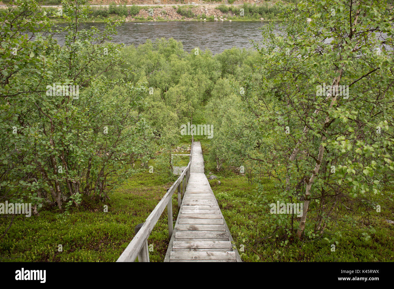 Hundred steps to Tana river, wooden staircase, Utsjoki, Lapland Stock ...