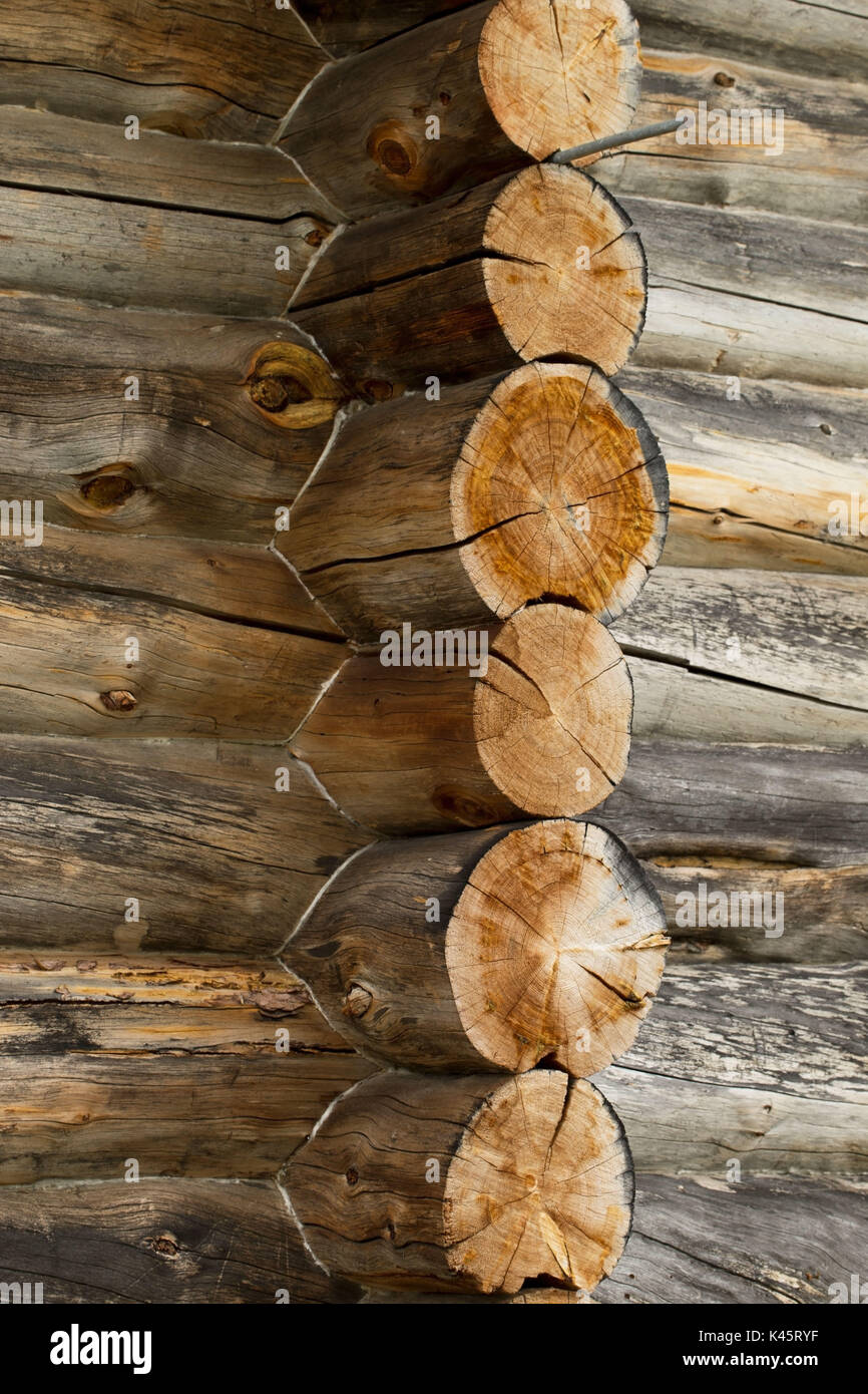 Wall of log house, Lapland Stock Photo - Alamy