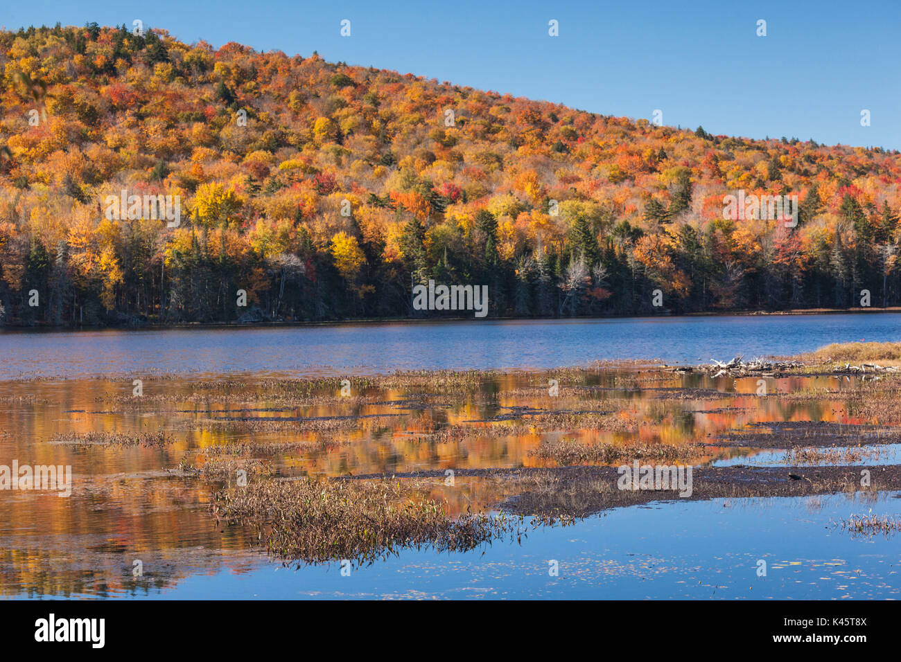 The adirondack mountains hi-res stock photography and images - Alamy