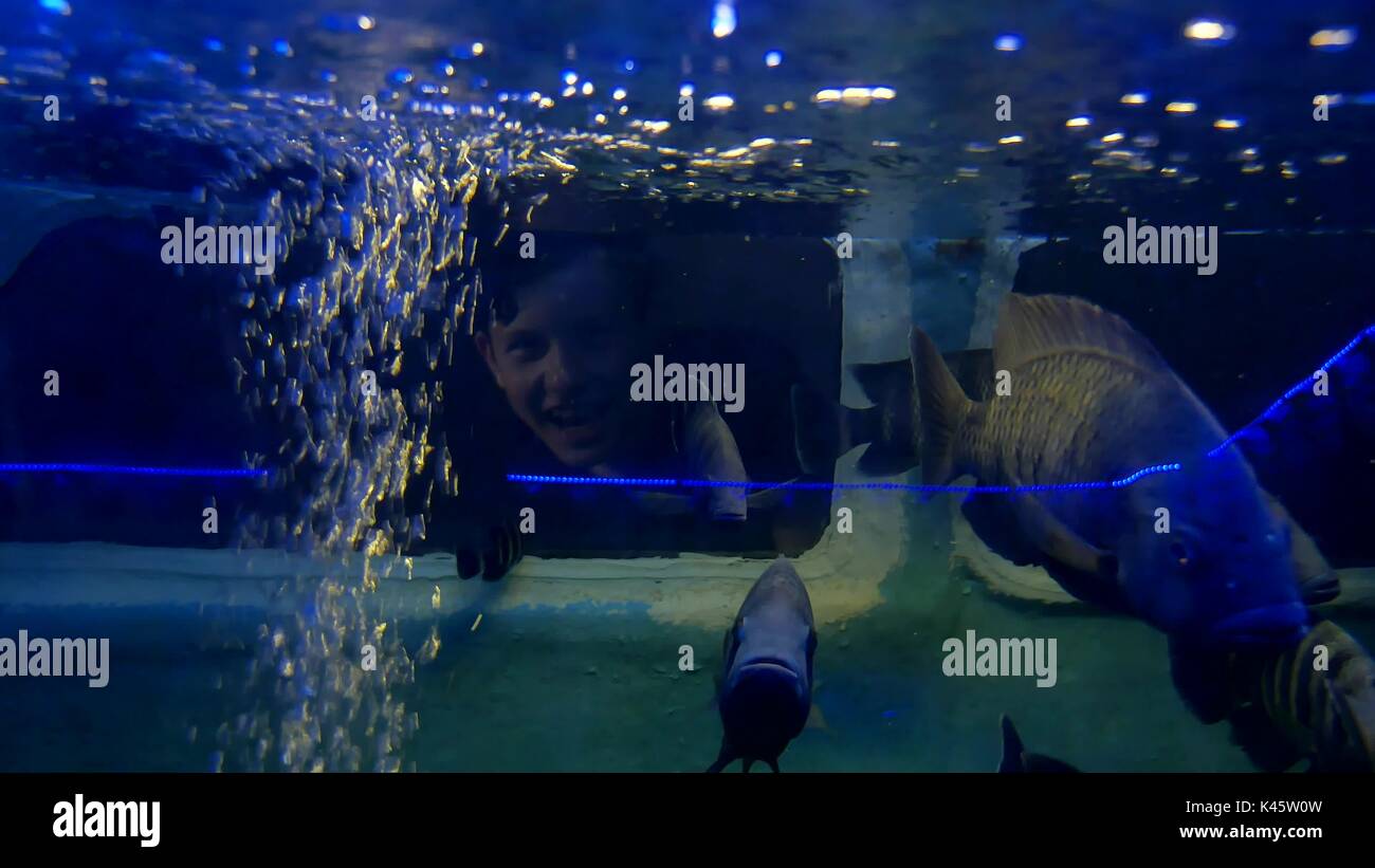 Boy and girl drowned underwater. Car auto accident underwater drowned ...