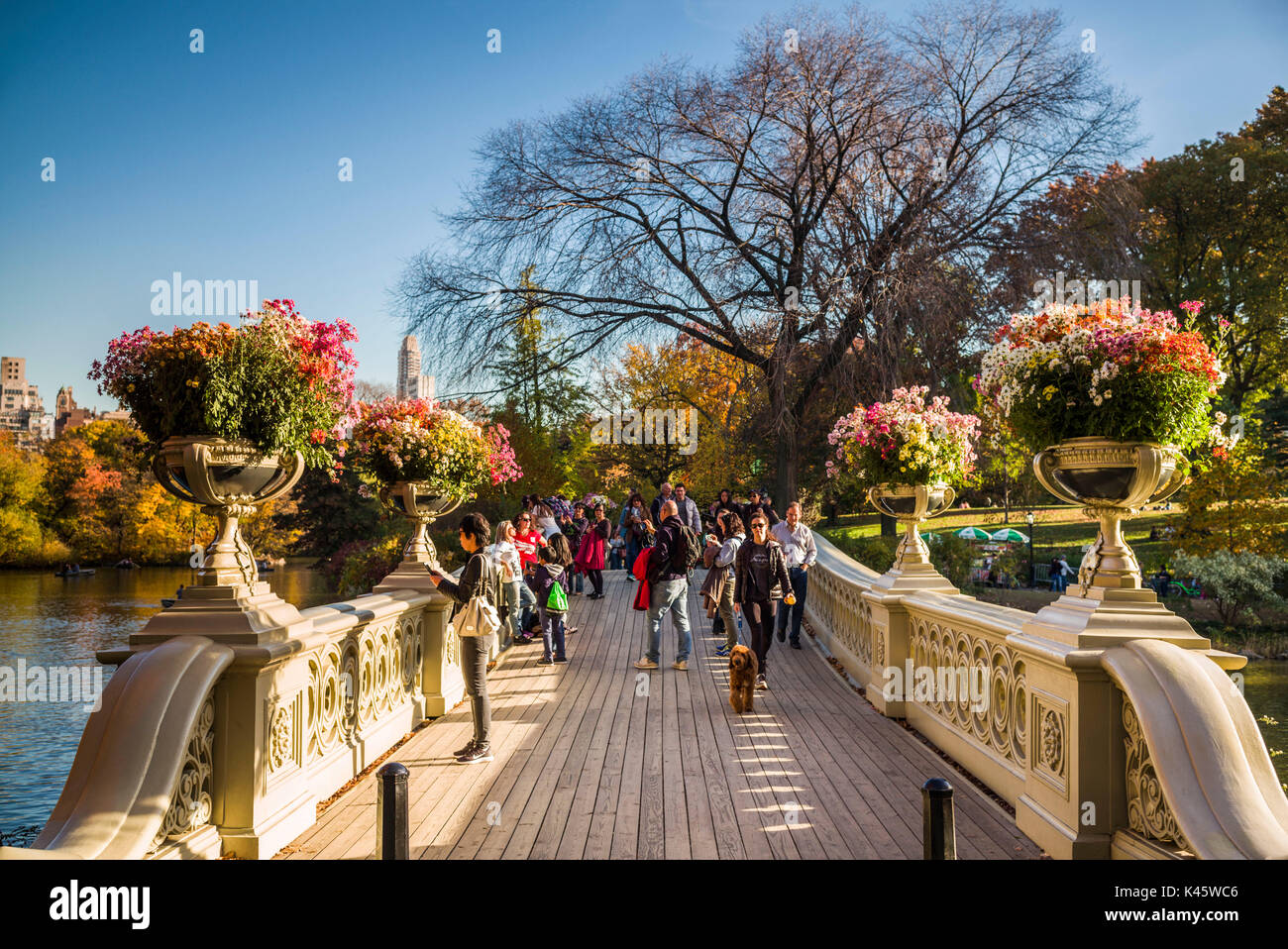 USA, New York, New York City, Central Park, Bow Bridge on The Lake ...