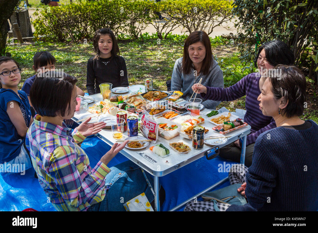 Japanese people having a picnic under cherry blossom trees in Sumida ...