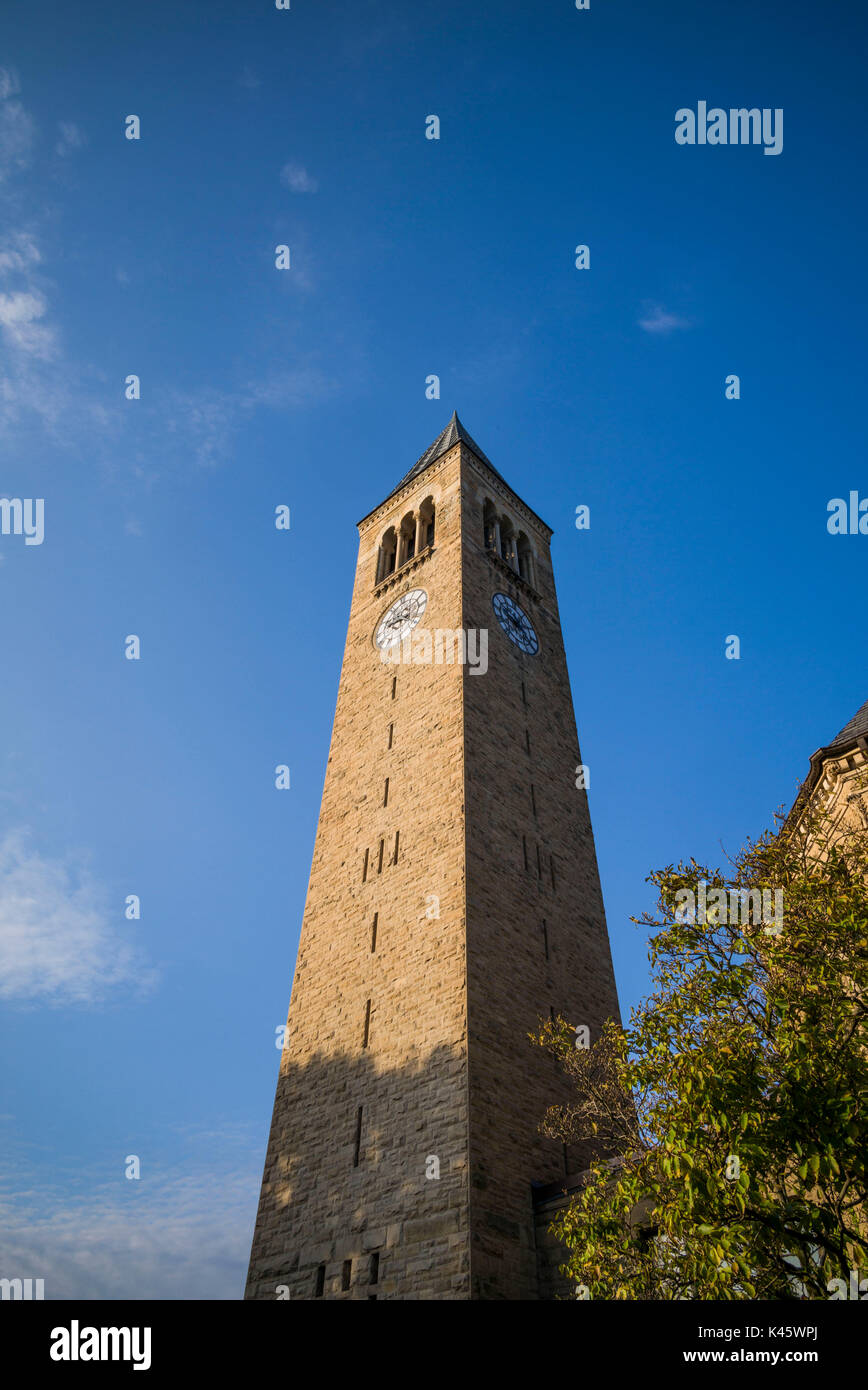 USA, New York, Finger Lakes Region, Ithaca, Cornell University, McGraw ...