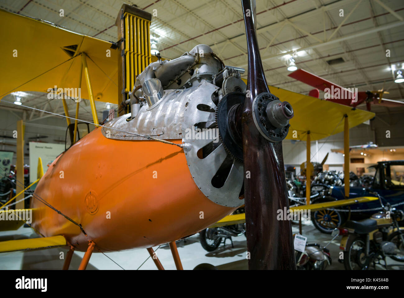 Oriole flying united states hi-res stock photography and images - Alamy