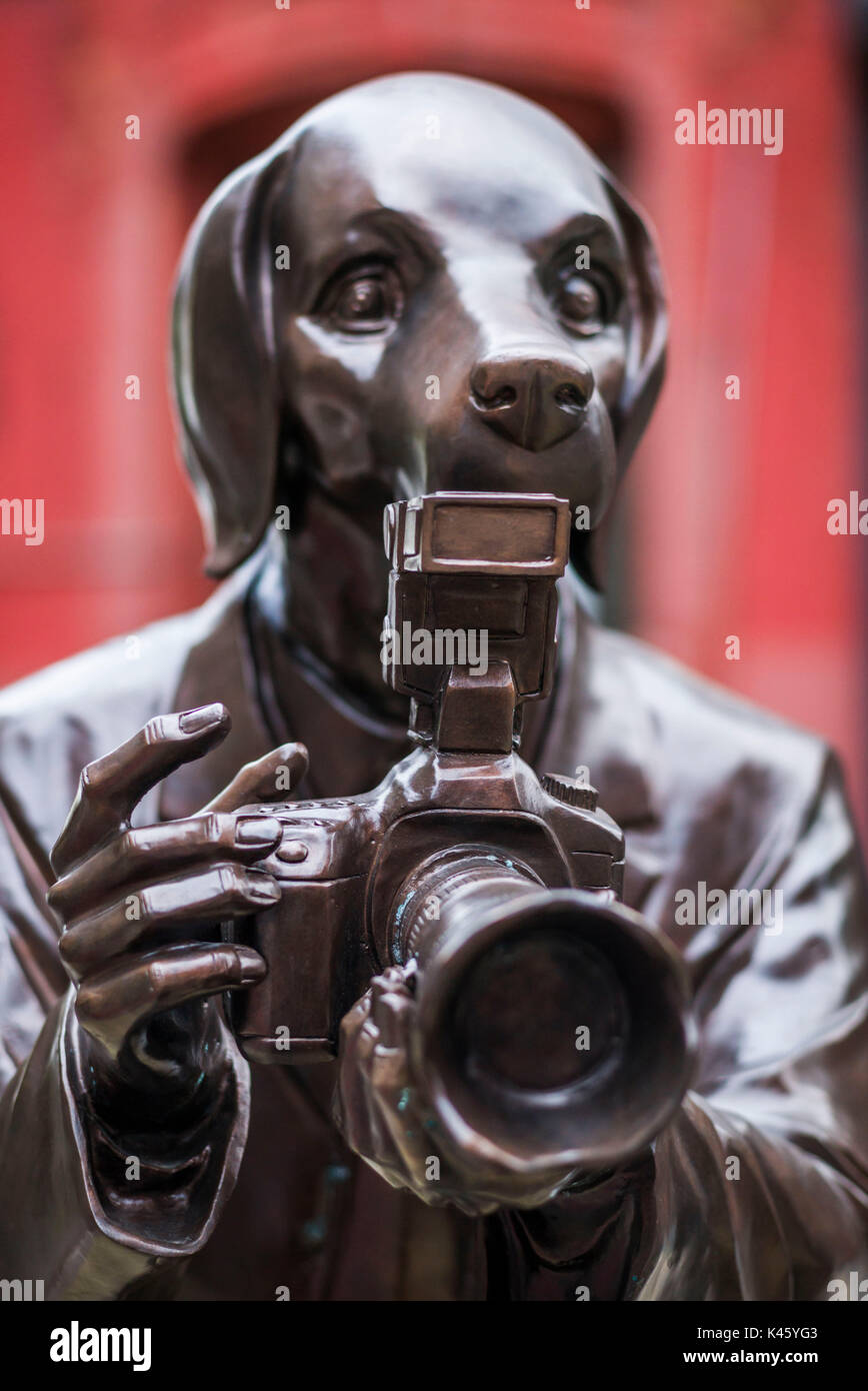 Paparazzi new york hi-res stock photography and images - Alamy