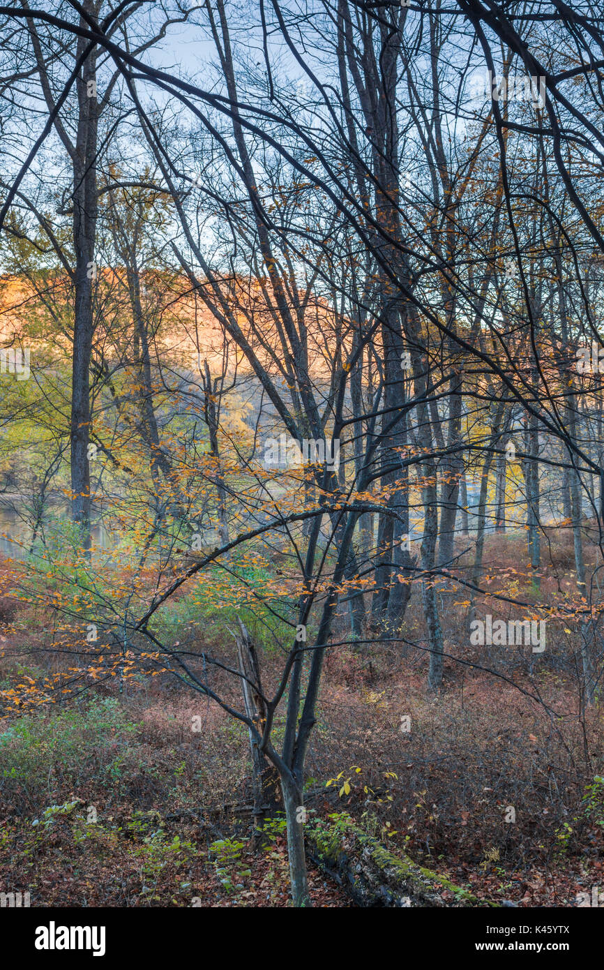USA, New Jersey, Delaware Water Gap National Recreation Area, autumn ...