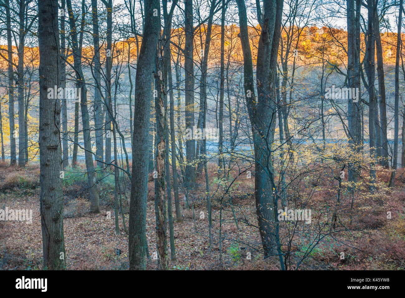 Delaware river gap hi-res stock photography and images - Alamy