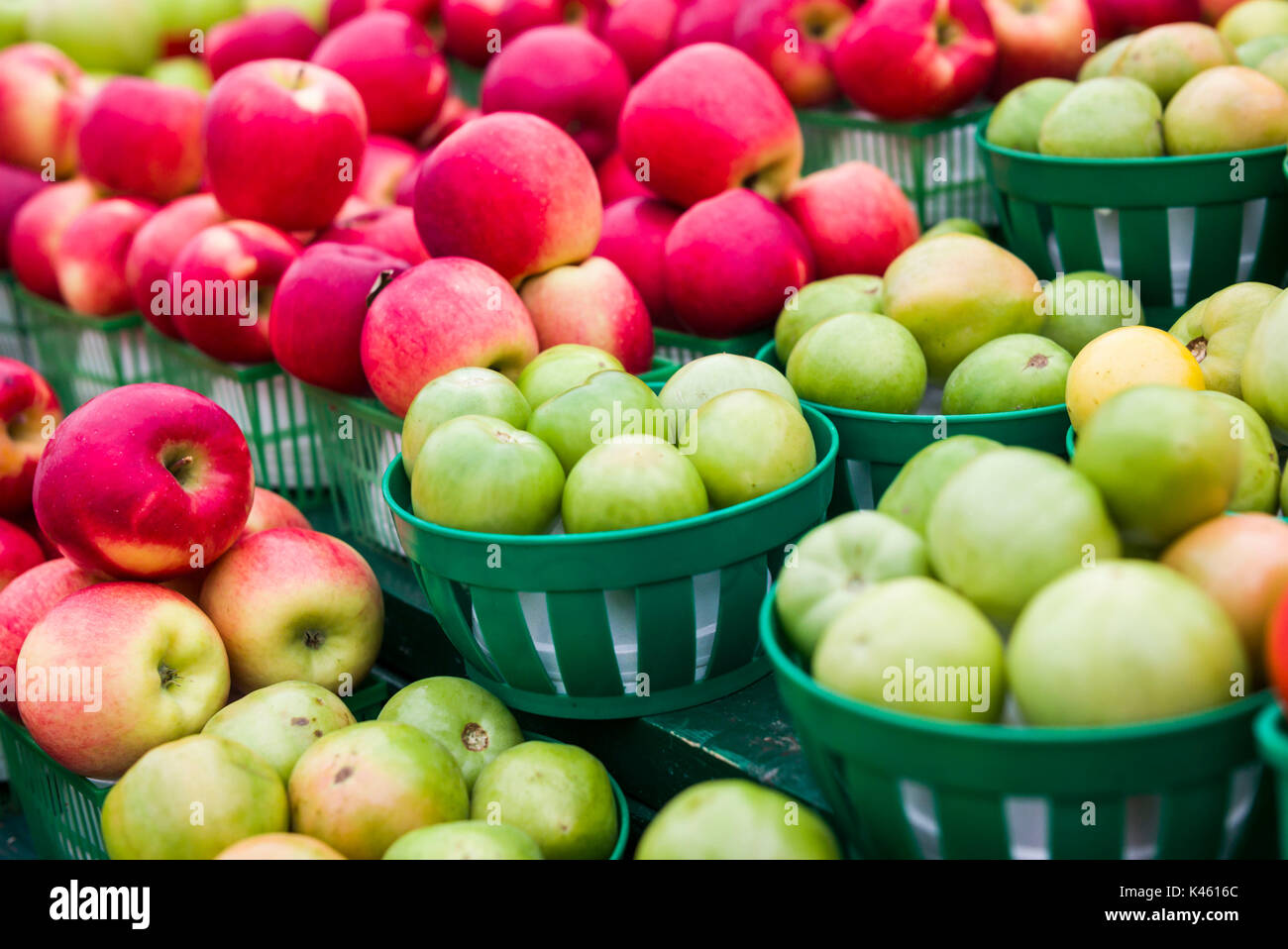 Ontario apples hi-res stock photography and images - Alamy