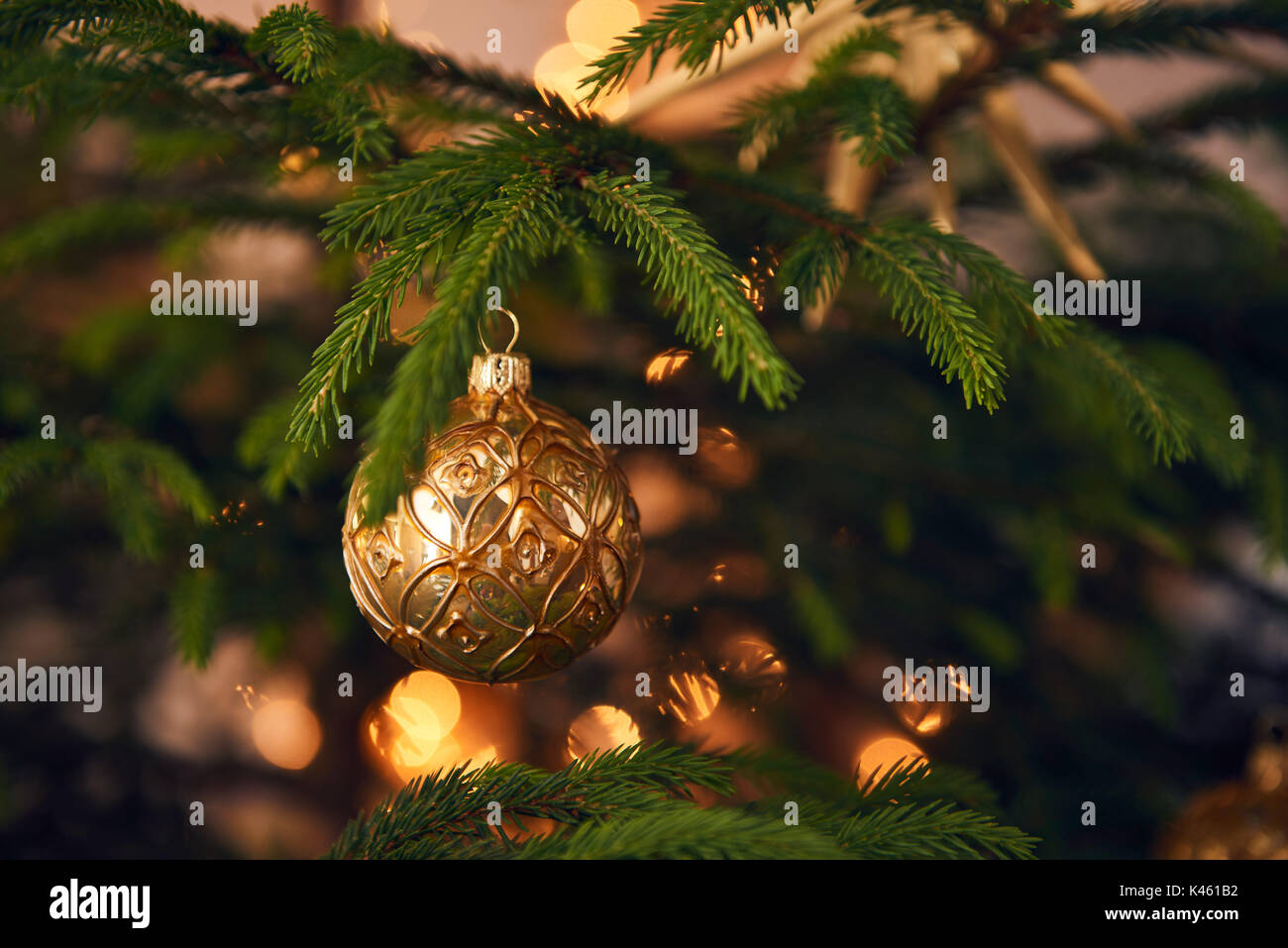 Tree still life hi-res stock photography and images - Alamy