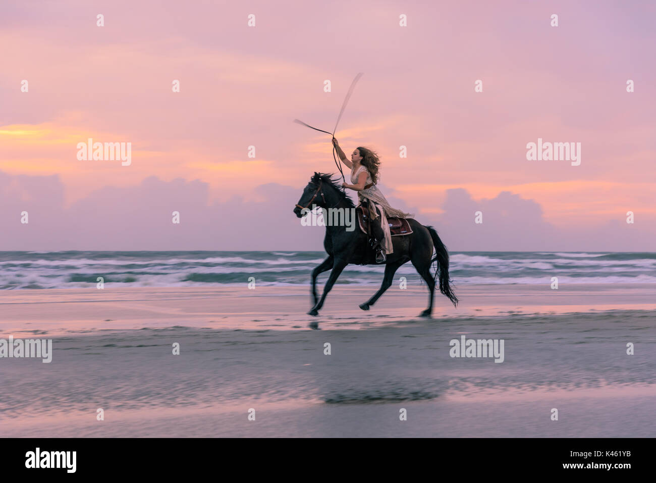 Horses in surf hi-res stock photography and images - Alamy