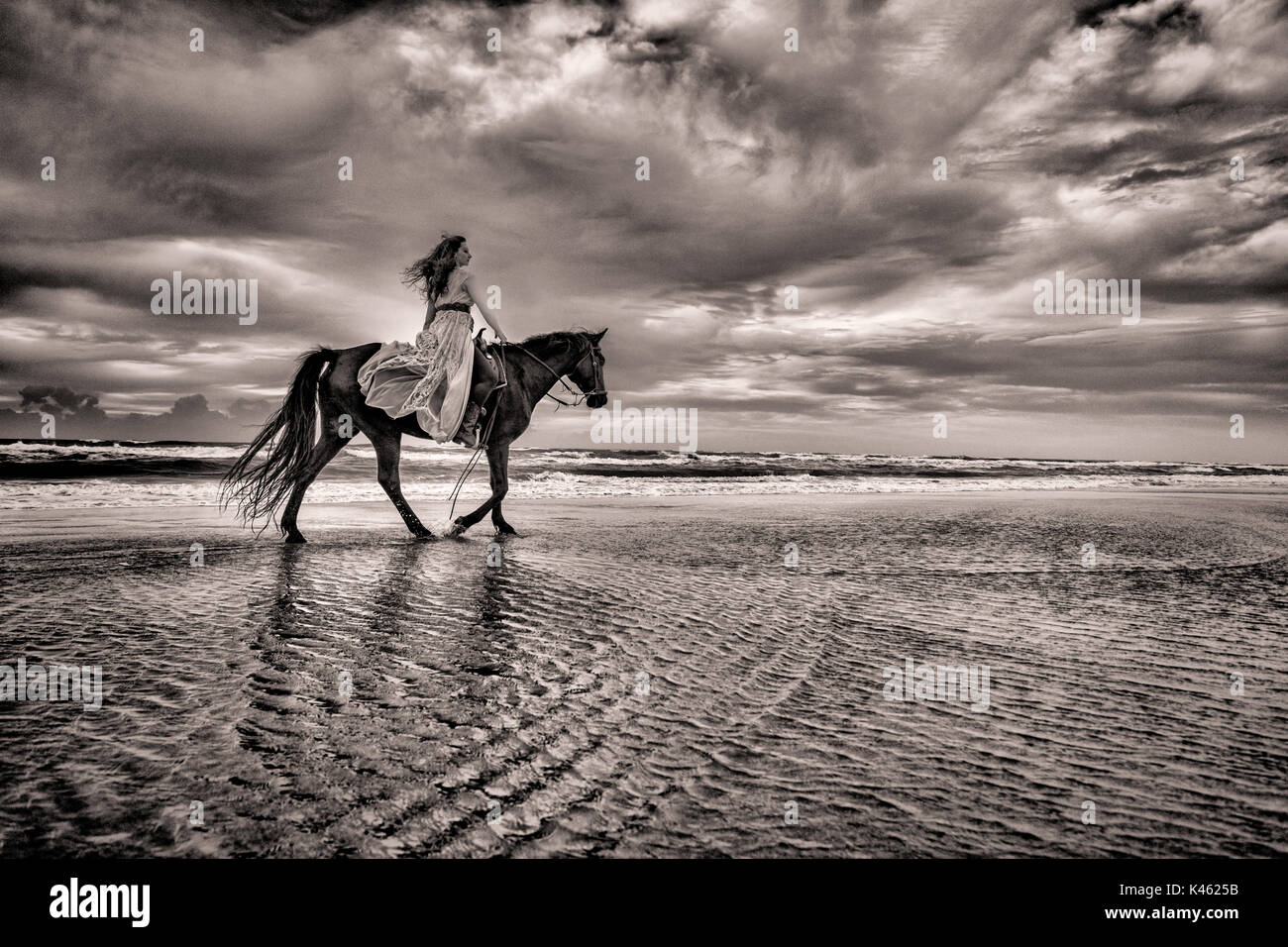 Horses in surf hi-res stock photography and images - Alamy