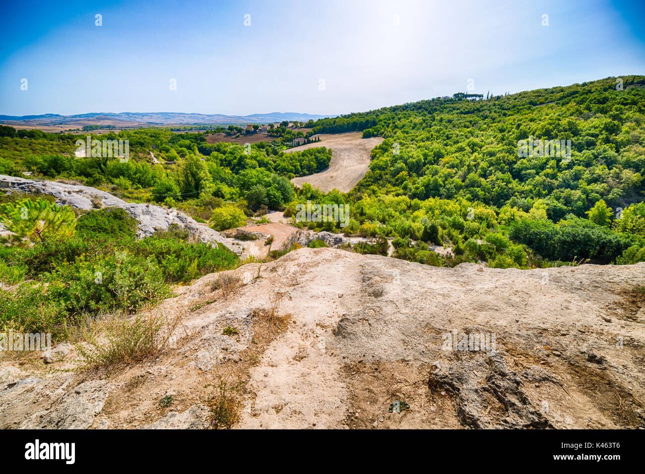 Green weeds arid rocks hi-res stock photography and images - Alamy