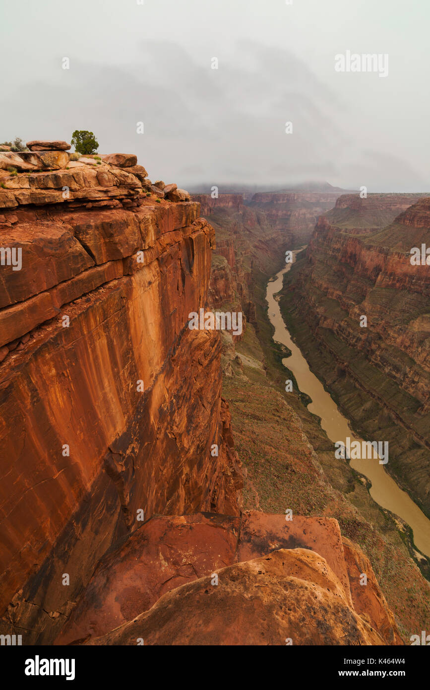 Photograph of the Toroweap Overlook, north side of the Colorado River ...