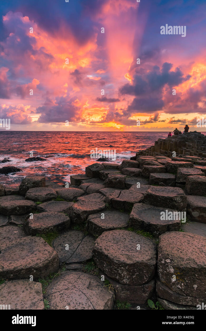 The Giant's Causeway is an area of about 40,000 interlocking basalt ...