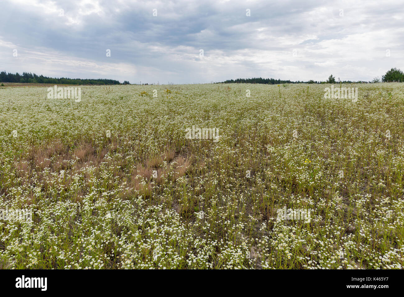 Dawn background hi-res stock photography and images - Alamy