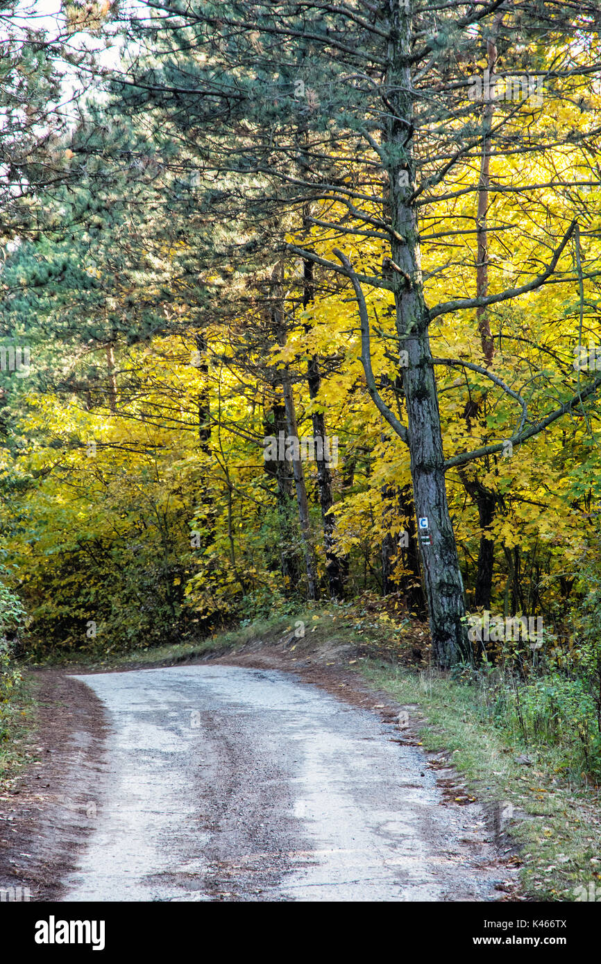 Rural tourist trail by autumn. Seasonal natural scene. Beauty in nature ...