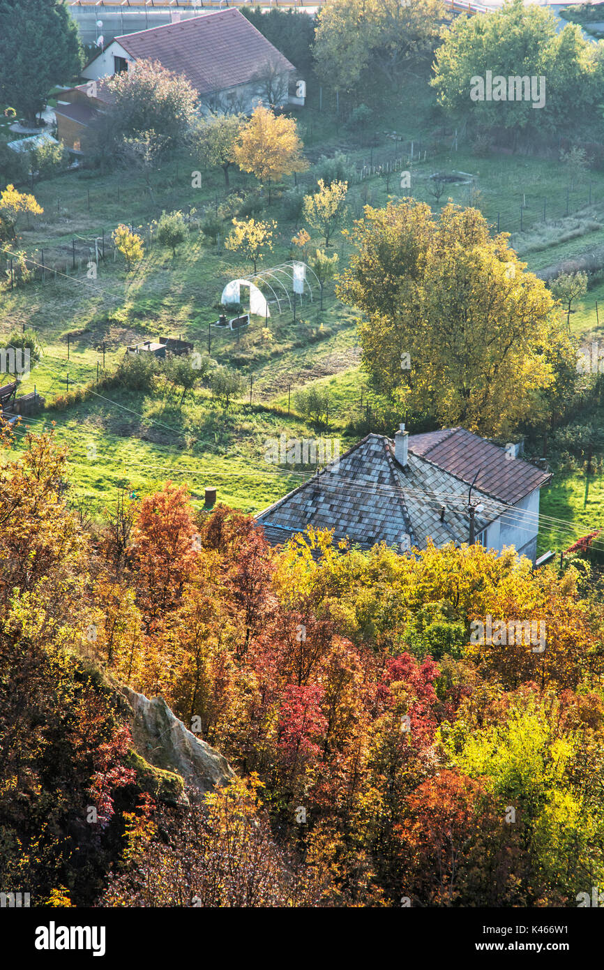 Close up photo of rural scene. Seasonal natural theme. Vibrant colors ...