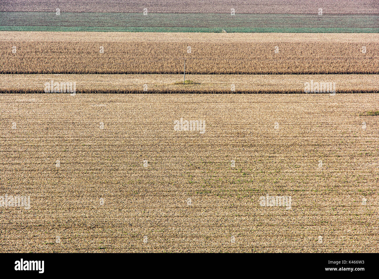 Seasonal fields scene. Agricultural landscape. Cultivated land Stock ...