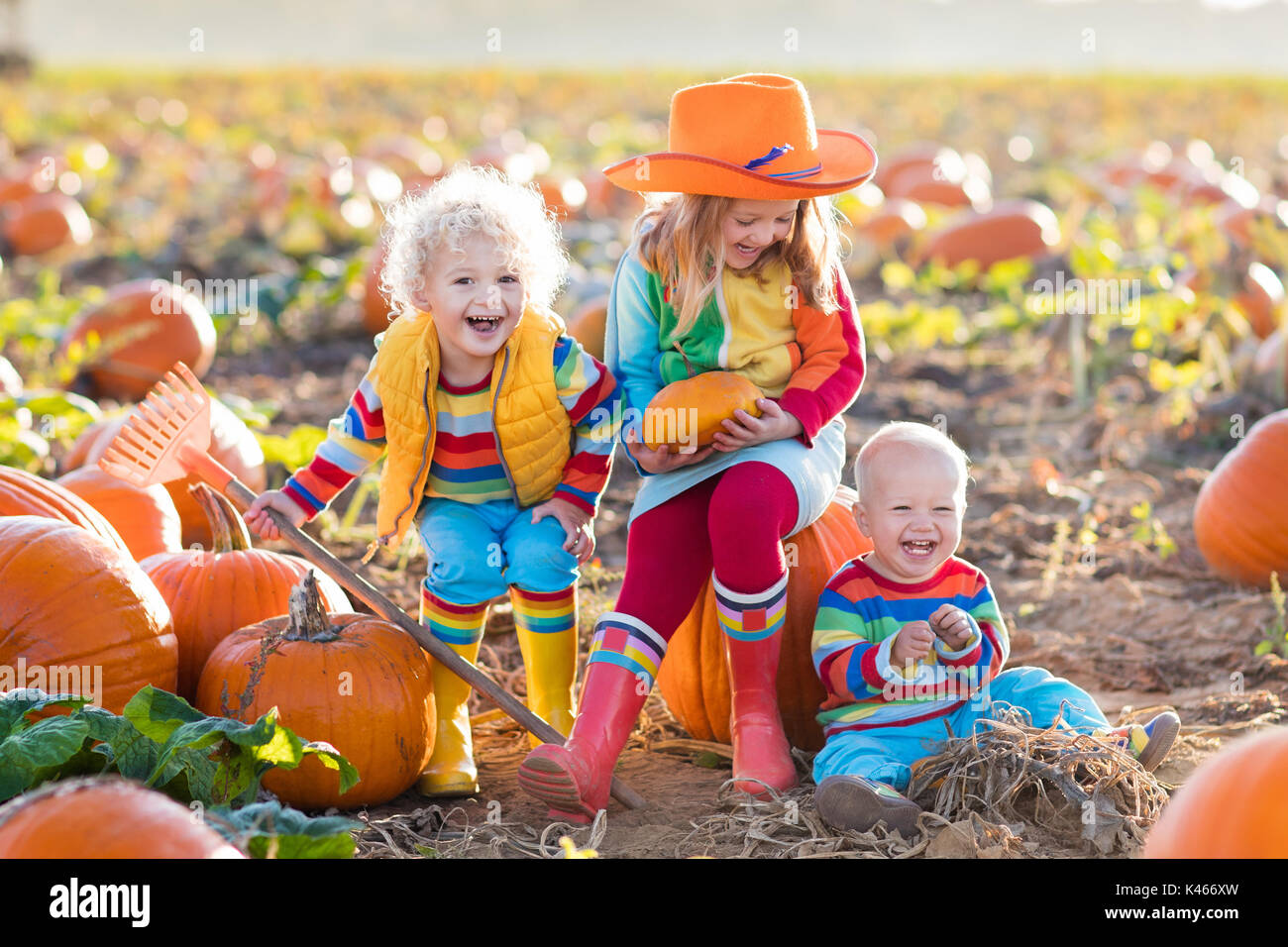 Baby girl in pumpkin patch hi-res stock photography and images - Alamy